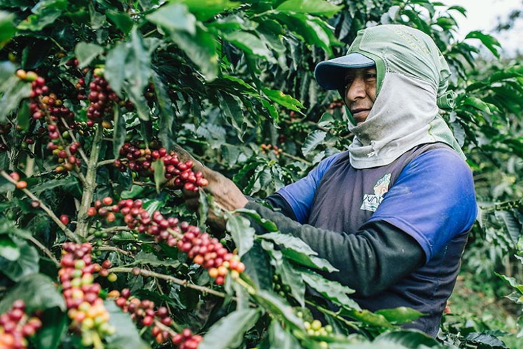 源友企業創「源溯咖啡 WESOURCE Coffee」新品牌 - 綜合 - 工商時報