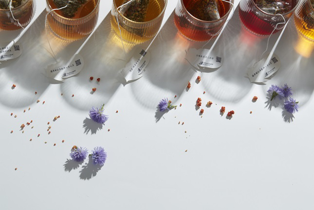 茶包新品牌 Angels Brew 天使給的心靈小語療癒身心 - 商情 - 工商時報