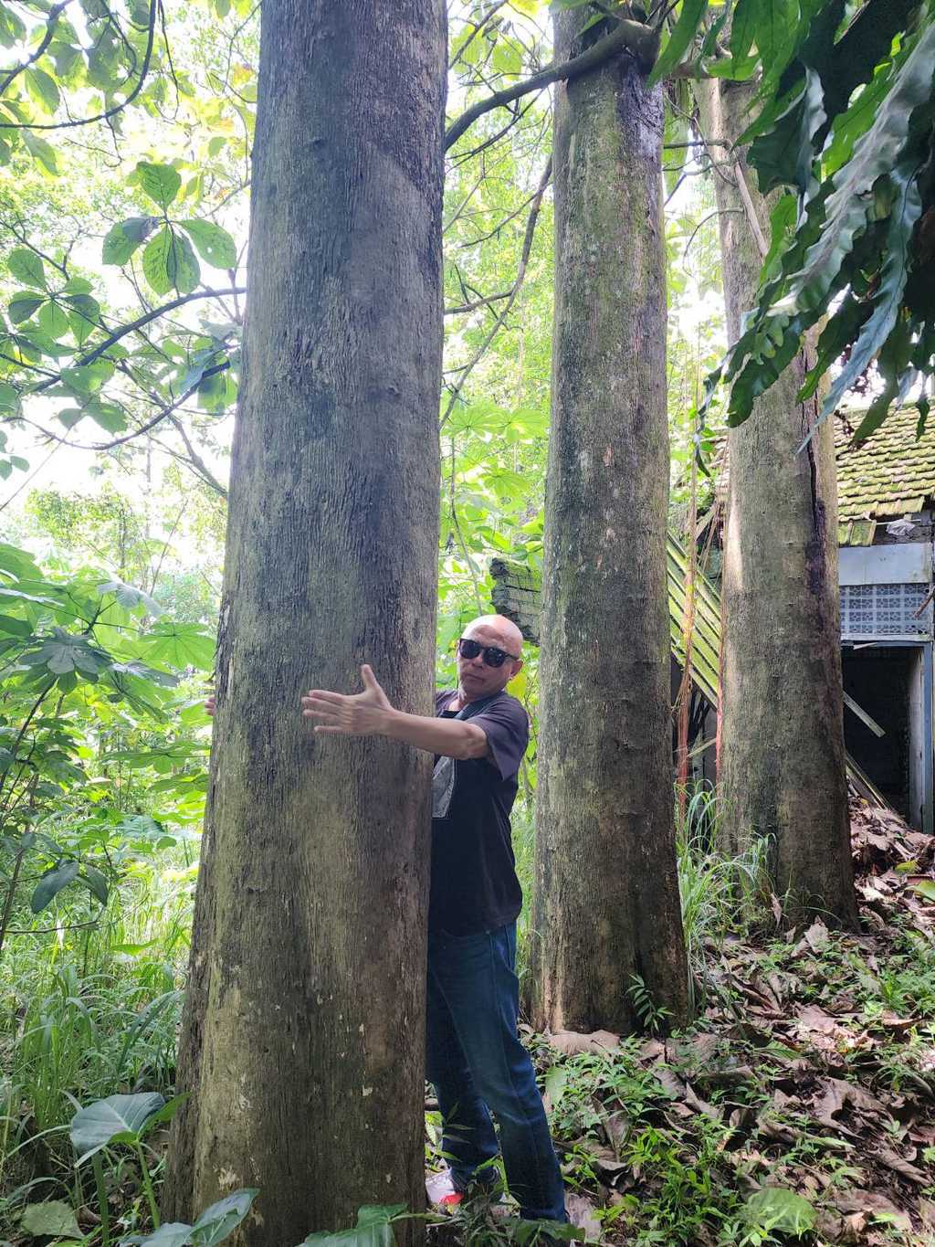 音樂人為地球而歌 二 - 商情 - 工商時報