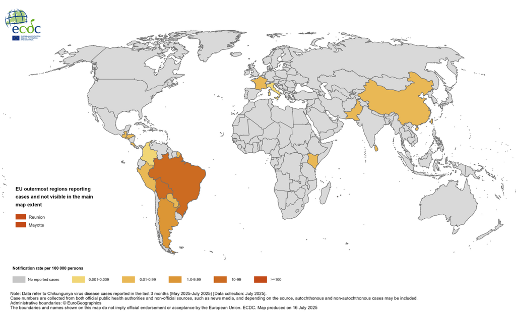 屈公病全球擴散！和登革熱差在哪？症狀、治療、預防重點懶人包 - 要聞 - 工商時報